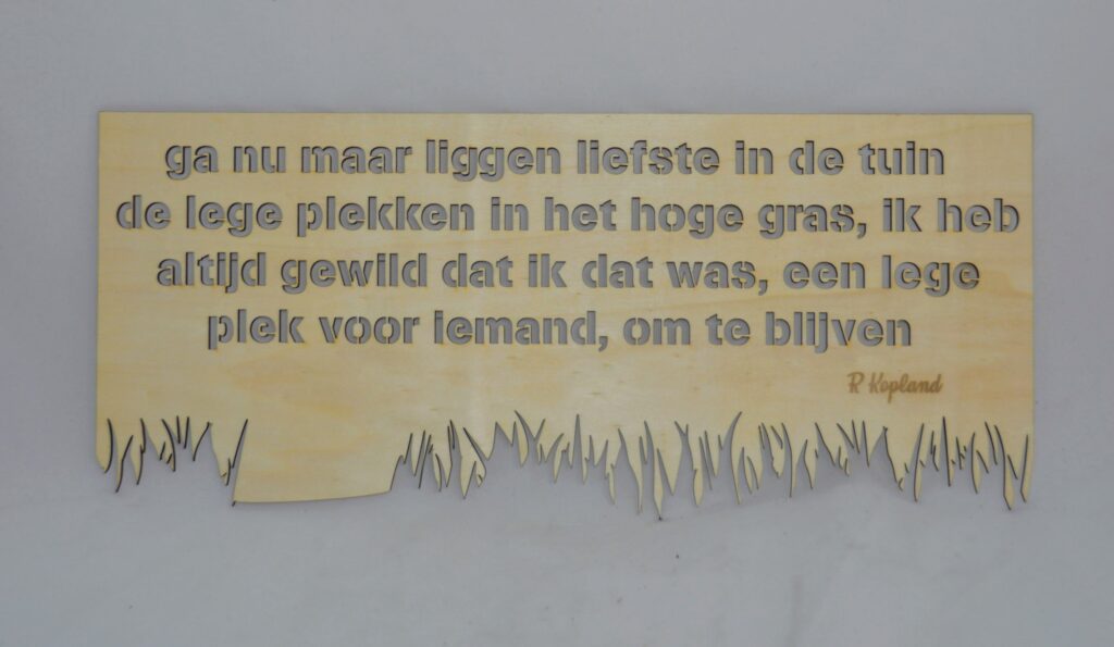 TiDee - Gedicht - plekken in het hoge gras - TiDee